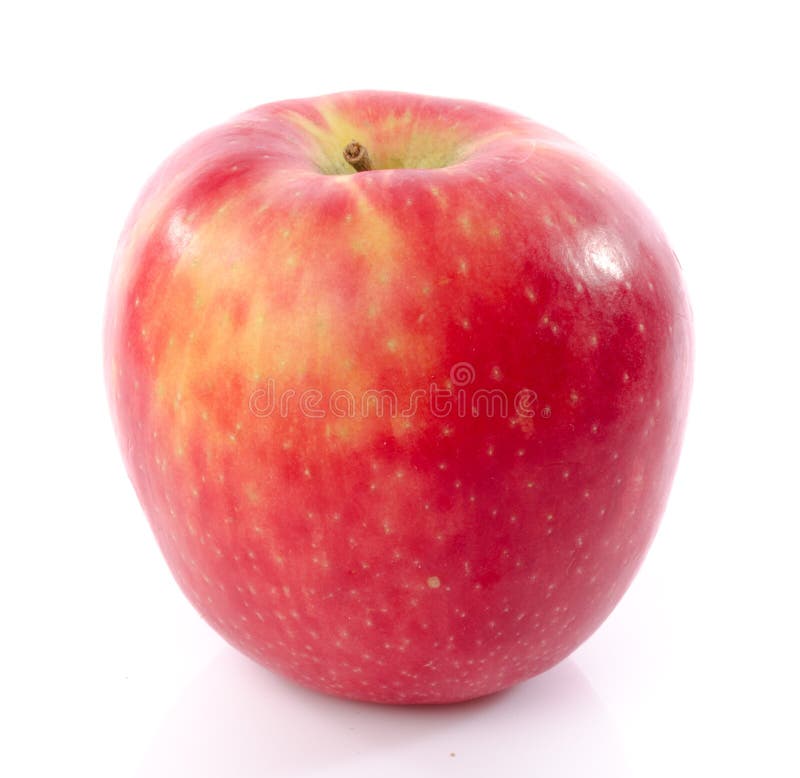 Fresh Royal Gala Apple Closeup Stock Photo - Image of royal, natural ...