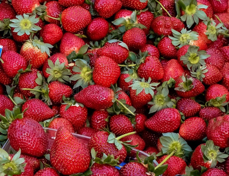 Fresh Ruby Red Strawberries Background Stock Photo - Image of frame ...