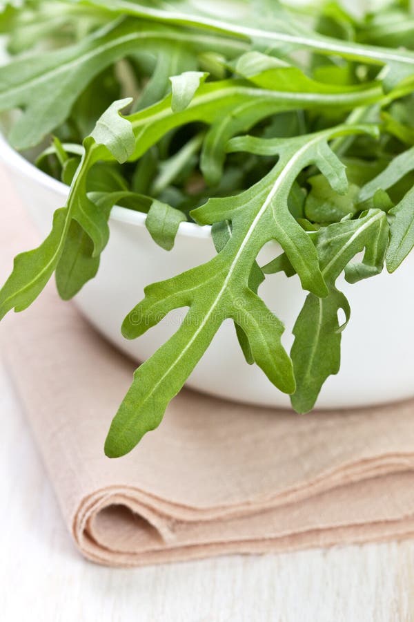 Fresh ruccola stock image. Image of lettuce, green, herb - 39294955