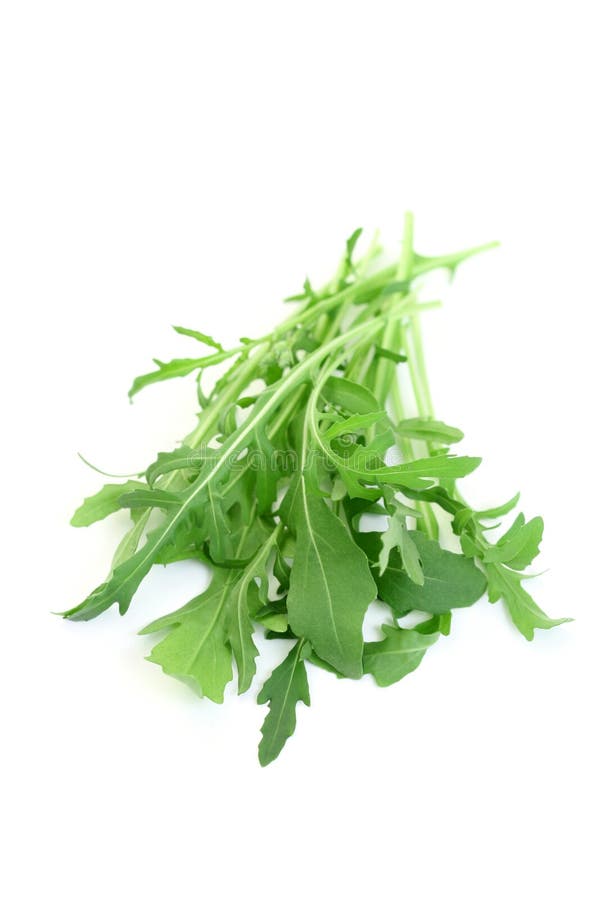 Rucola stock image. Image of healthy, flavour, rucola, natural - 323545