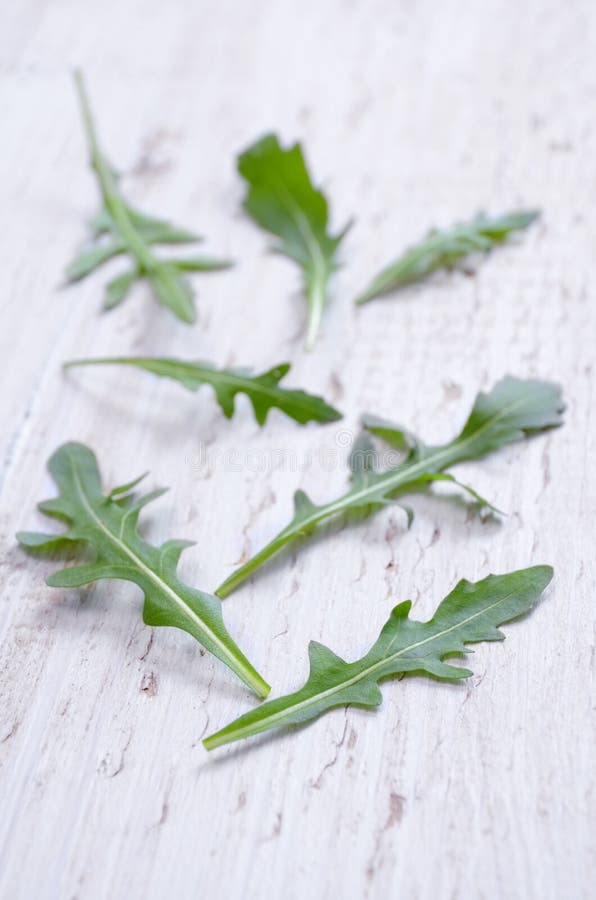 Fresh rucola stock image. Image of leaf, closeup, diet - 111558177