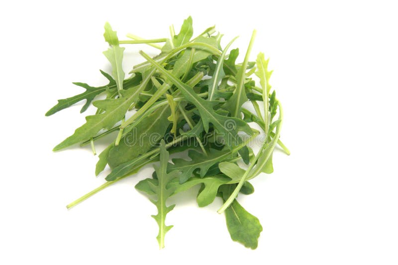Fresh Rucola Isolated on White. Stock Image - Image of food, vegetable ...