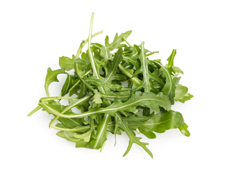 Rucola lettuce stock photo. Image of food, healthy, nutrition - 29127728
