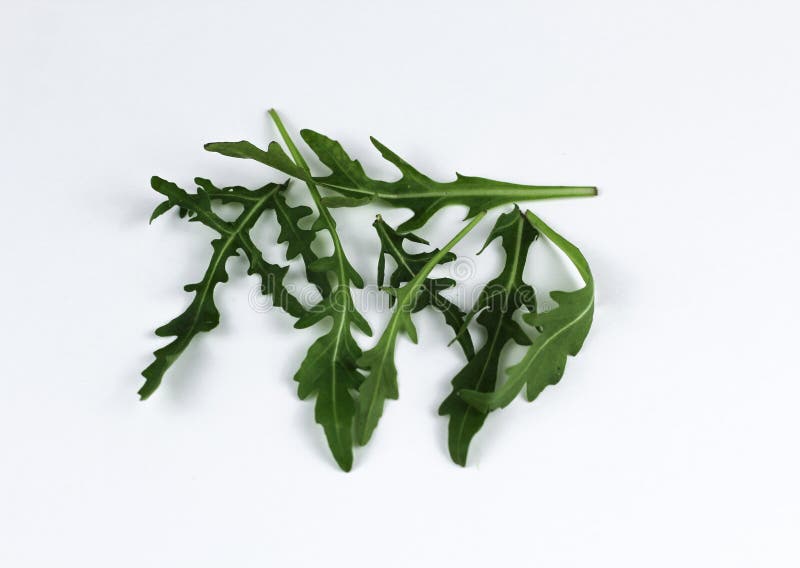 Fresh Rucola Leaves Isolated on White Background Stock Photo - Image of ...