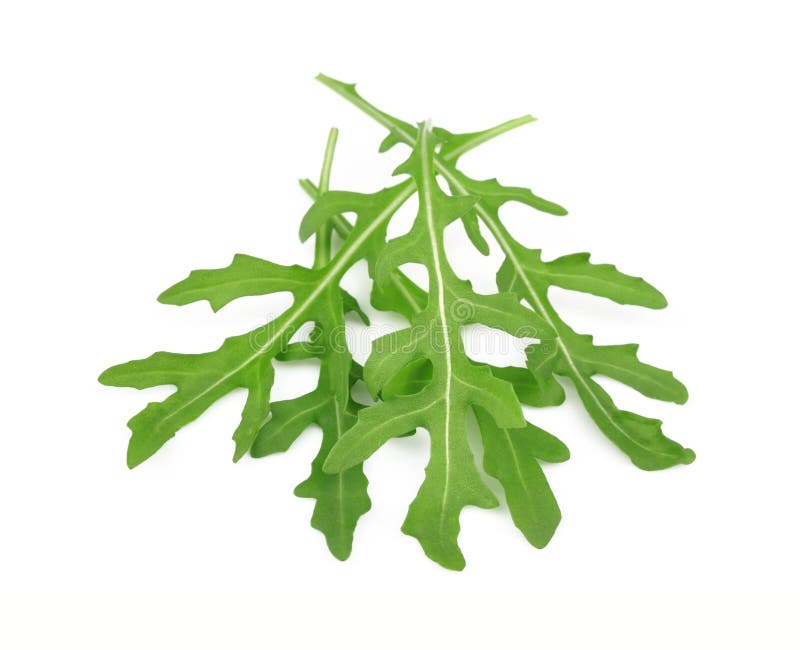 Rucola leaves stock image. Image of heap, rocket, leaves - 27440007