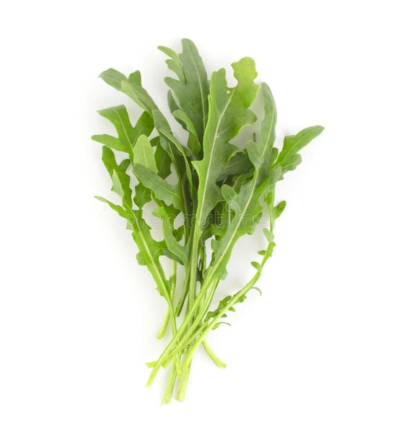 Arugula stock photo. Image of eruca, bunch, food, leaves - 25786640