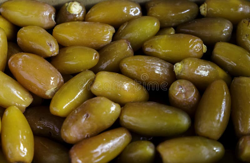 Fresh Ruthob Dates for Iftar in Ramadan Stock Photo - Image of iftar ...