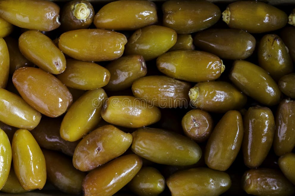 Fresh Ruthob Dates for Iftar in Ramadan Stock Photo - Image of basah ...