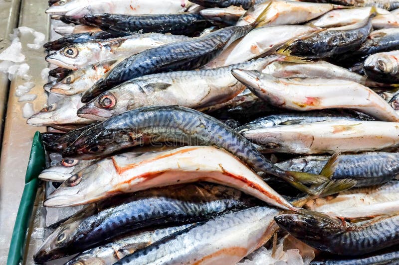 Fresh Saba Fish Arrange on Ice in Market Stock Photo - Image of frozen ...