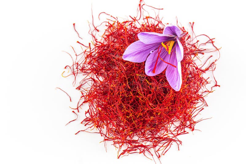 Fresh Saffron Flower on a Background of Dried Saffron on a White Table ...