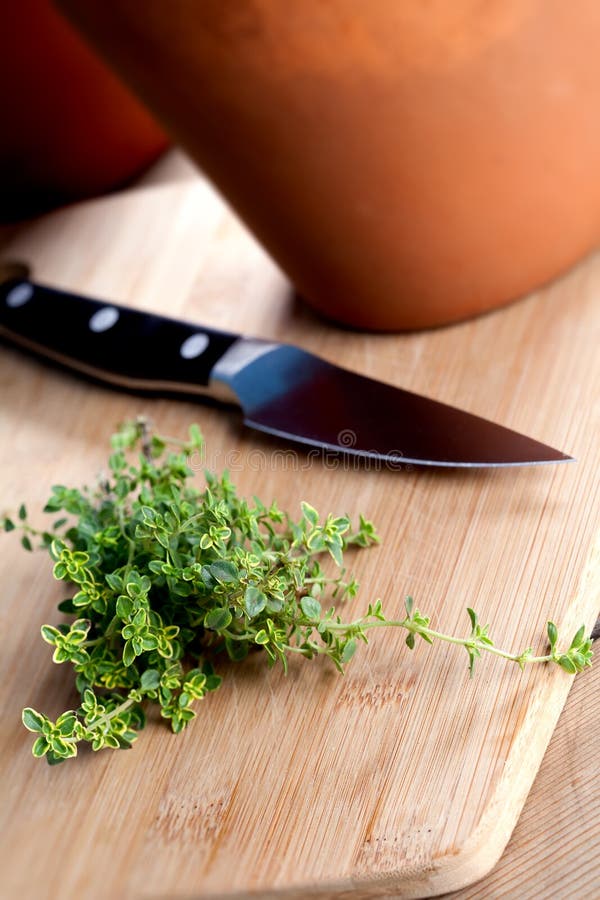 Fresh sage stock image. Image of eating, mixed, herbal - 30331043