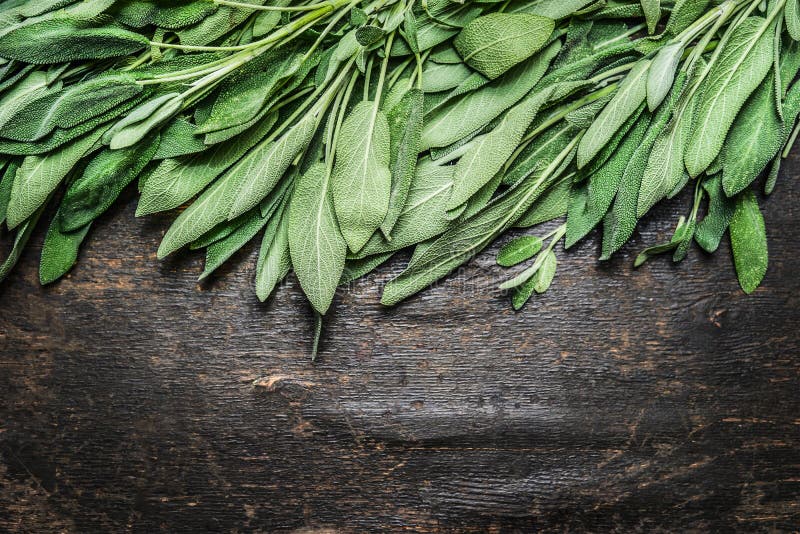 Fresh Sage Leaves on Rustic Wooden Background, Frame, Top View, Toned ...