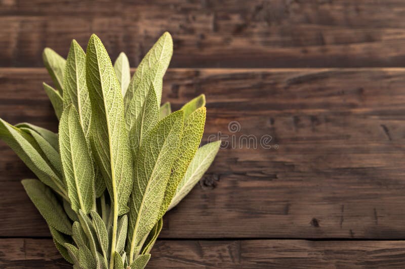 Fresh Sage at Left Side of Wooden Table Stock Photo - Image of fresh ...