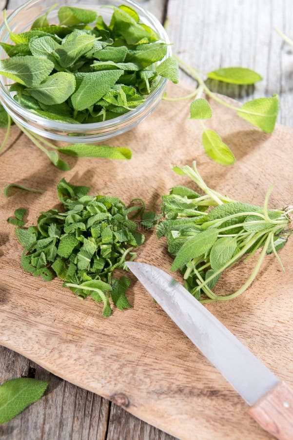 Fresh Sage stock image. Image of natural, leaves, closeup - 39945815