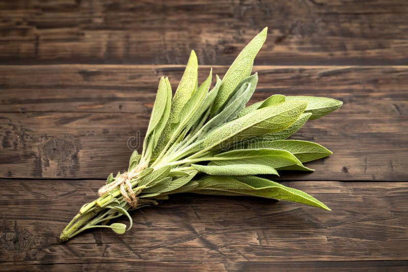 Fresh sage on wooden table stock photo. Image of seasoning - 59310288