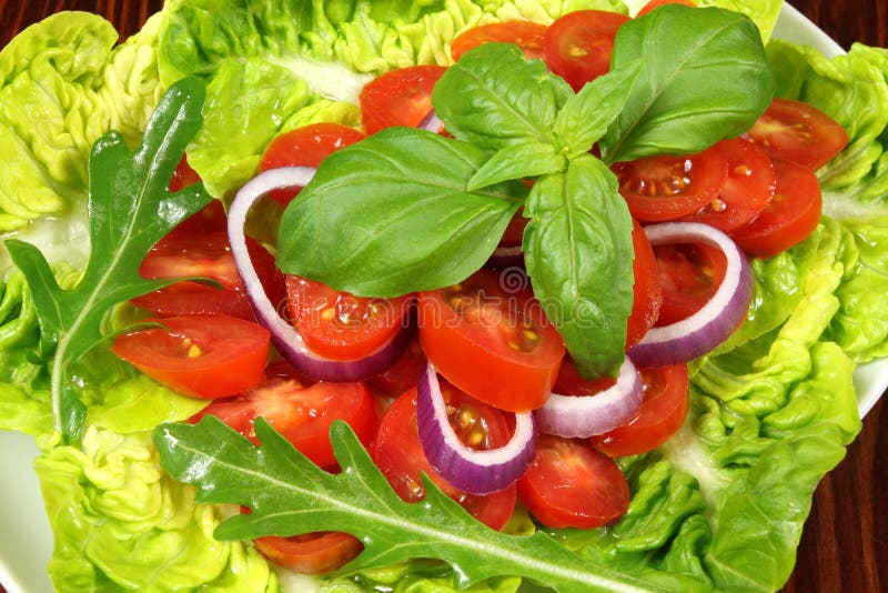 Fresh salad stock photo. Image of salad, herb, delicious - 13878018