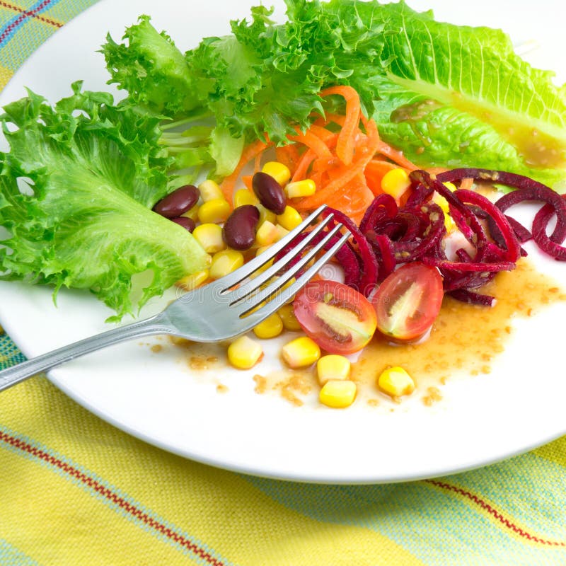 Fresh salad stock photo. Image of cook, luxury, natural - 26202612