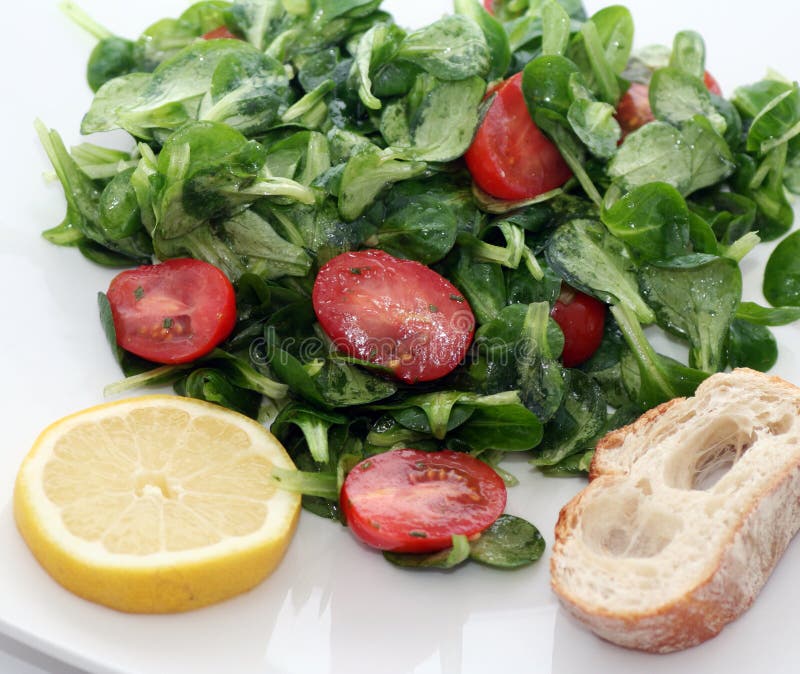 Fresh salad stock photo. Image of vegetarian, vitamins - 8919594