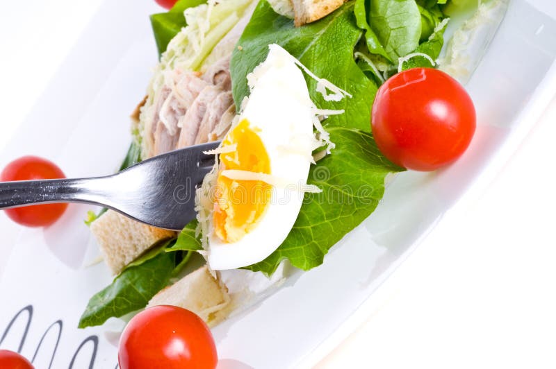 Fresh salad stock photo. Image of dressing, ingredient - 9127272