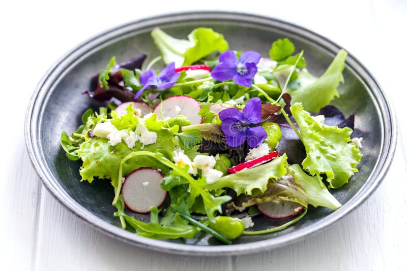 Fresh Salad with Broad Beans, Radish and Violets Stock Photo - Image of ...