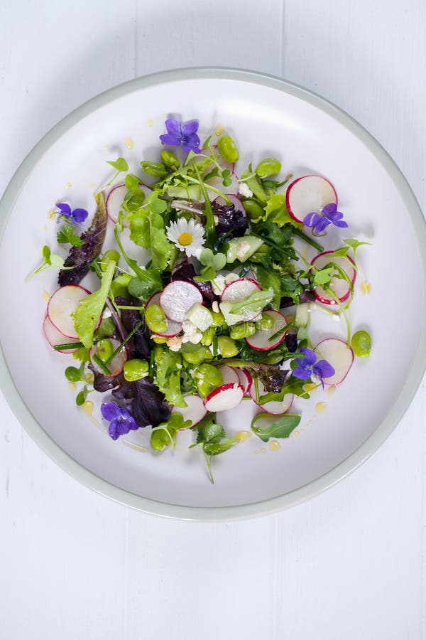 Fresh Salad with Broad Beans, Radish and Violets Stock Photo - Image of ...