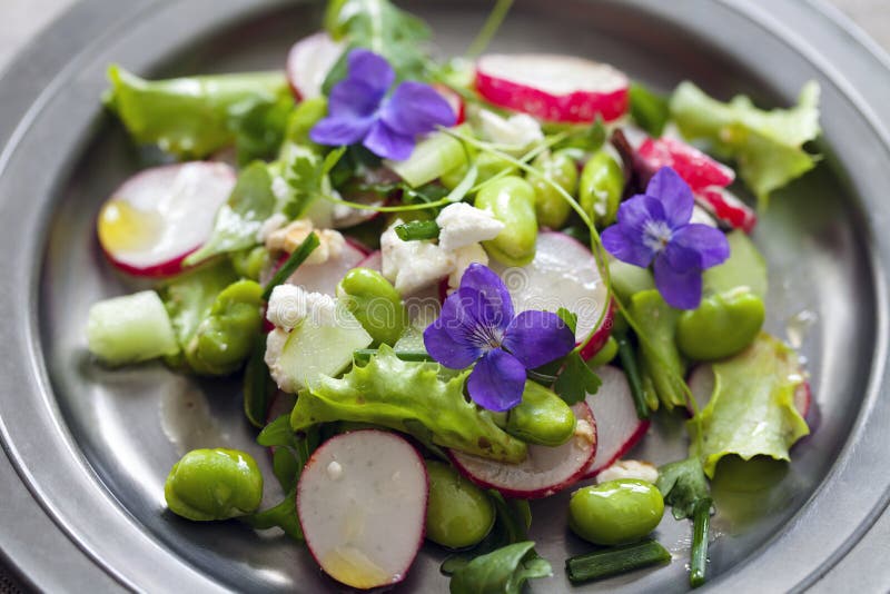 Fresh Salad with Broad Beans, Radish and Violets Stock Photo - Image of ...