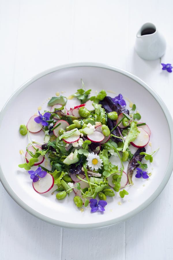 Fresh Salad with Broad Beans, Radish and Violets Stock Photo - Image of ...