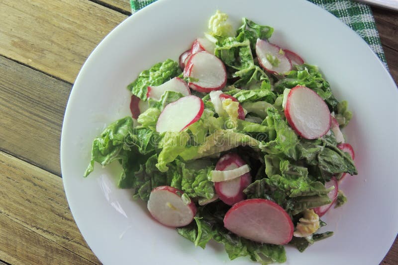 Fresh Salad with Cabbage and Radish Stock Image - Image of lunch ...