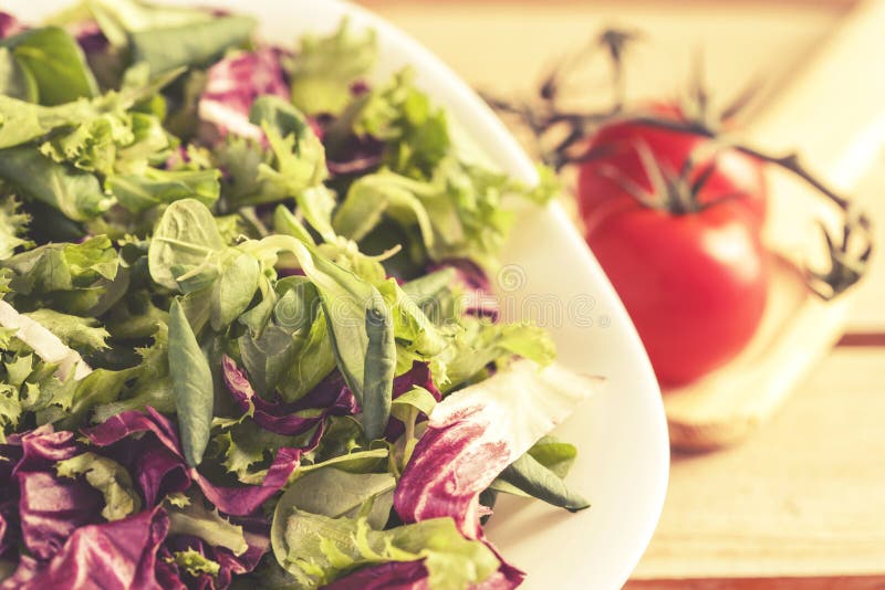 Fresh salad stock photo. Image of concept, close, lettuce - 64663664