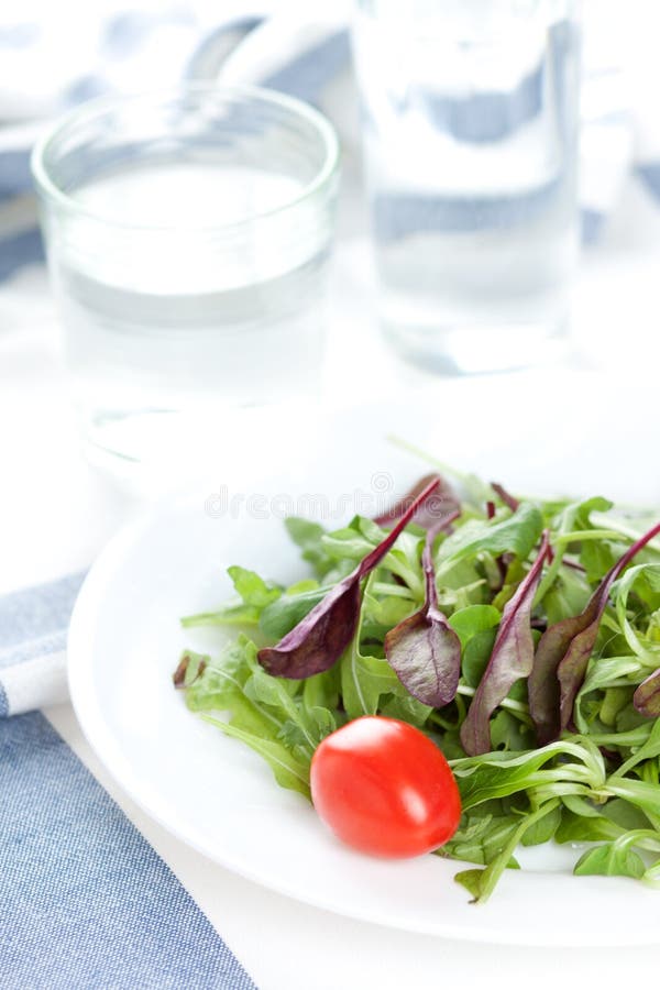 Fresh salad and water stock image. Image of gourmet, spring - 14678493