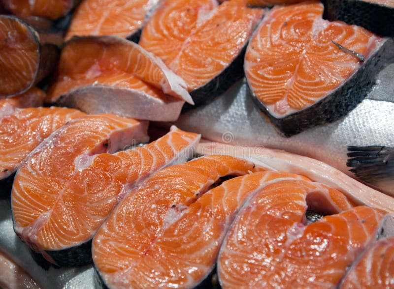 Fresh salmon stock image. Image of diet, life, fresh - 11041647