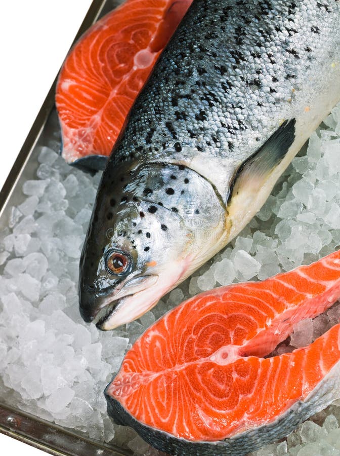 Fresh salmon stock photo. Image of lunch, cooking, salmon - 15753530