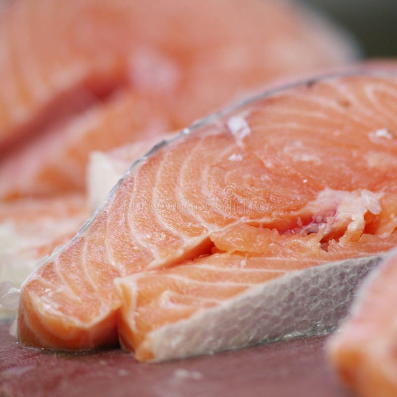 Fresh salmon stock photo. Image of uncooked, freshly - 18361344