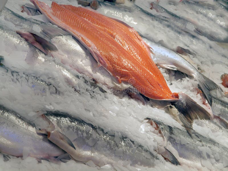 Fresh salmon stock image. Image of chilled, salmon, seafood - 9701361