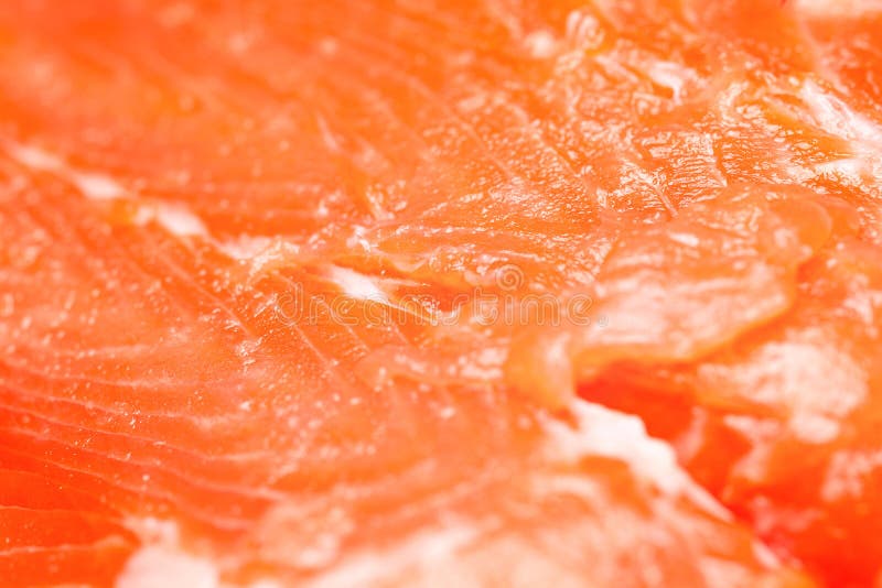 Fresh Salmon. Salmon Fillet Texture Close-up Stock Image - Image of ...