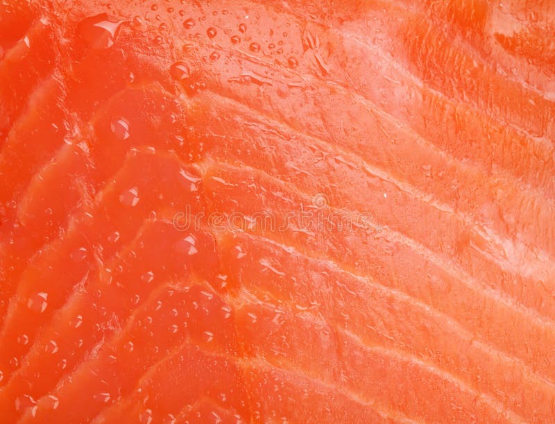 Closeup of salmon meat stock photo. Image of colouring - 4888256