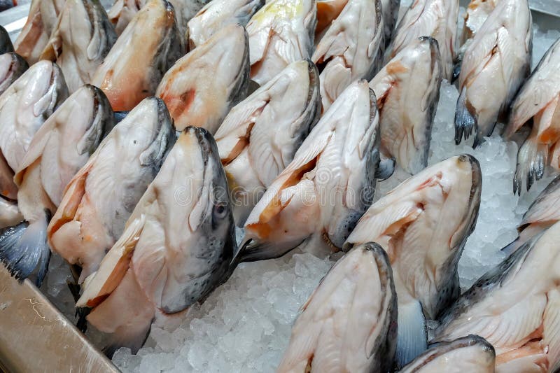 Fresh Salmon Head on Ice in Market Stock Image - Image of tasty, dinner ...
