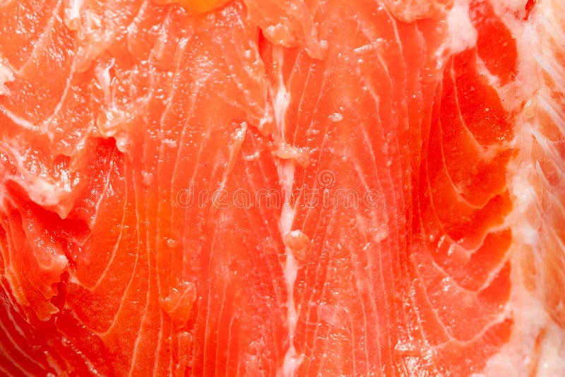 Fresh Salmon. Texture of Salmon Fillet Close-up Stock Image - Image of ...