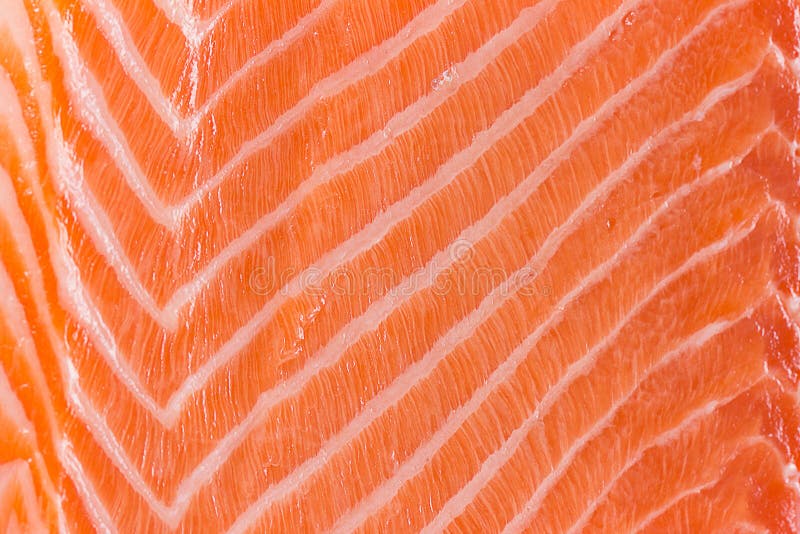 Fresh Salmon Uncooked Fillet Stock Image - Image of cuisine, prepared ...