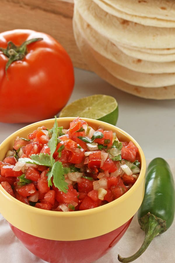 Salsa stock photo. Image of heat, salsa, spicy, tomatoes - 14443386
