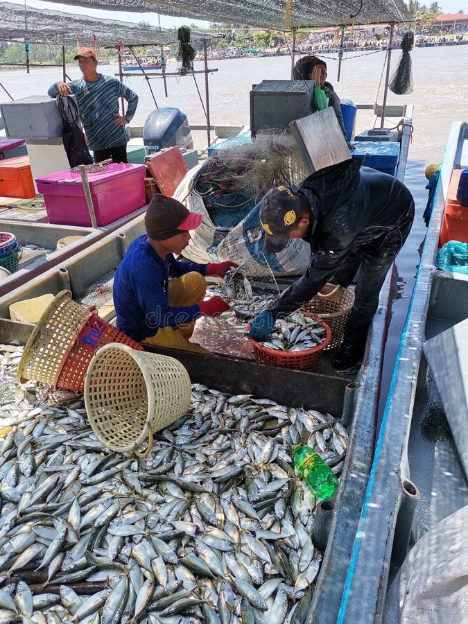 Fresh from Salt Water editorial image. Image of salt - 220963000