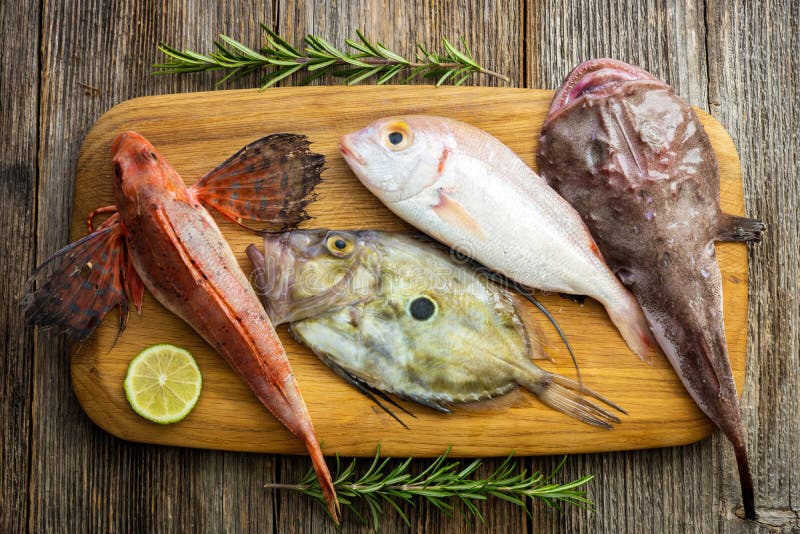 Fresh saltwater fish stock image. Image of ocean, fishing - 62058229