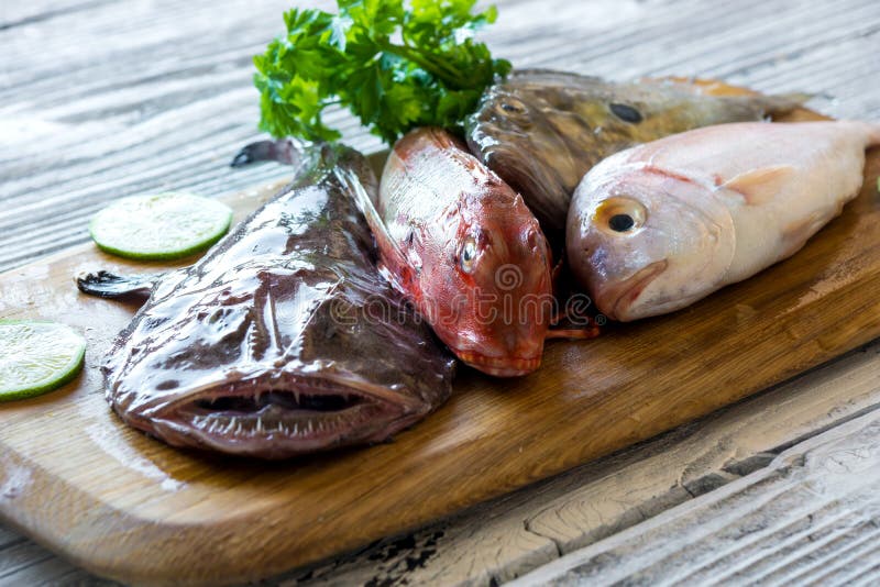 Fresh saltwater fish stock photo. Image of ocean, fisherman - 62058912