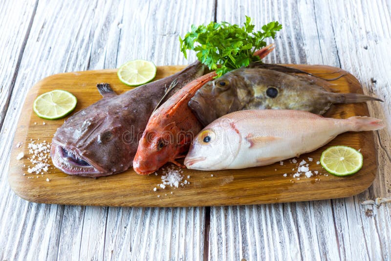 Fresh saltwater fish stock photo. Image of fish, scorfano - 62059172