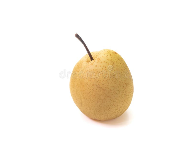 560 Chinese Sand Pear Stock Photos - Free & Royalty-Free Stock Photos ...