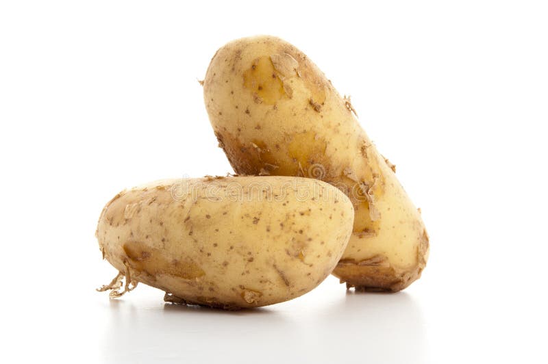 Fresh Sand Soil Potatoes stock photo. Image of harvest - 22856172
