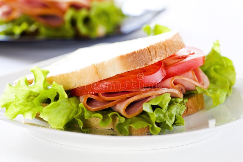Fresh Sandwich stock photo. Image of sandwich, white - 24518104