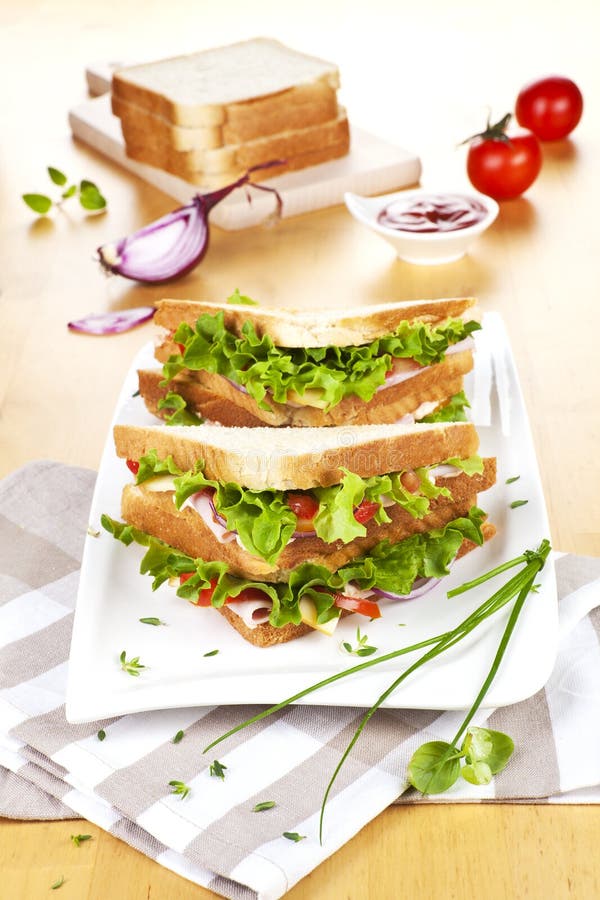 Fresh sandwiches. stock photo. Image of slim, kitchen - 19514710