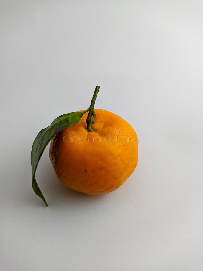 Fresh Santang Oranges are on a White Background Stock Image - Image of ...