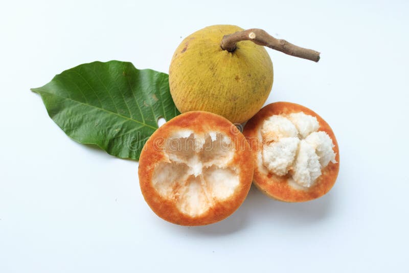 Santol Fruit In English